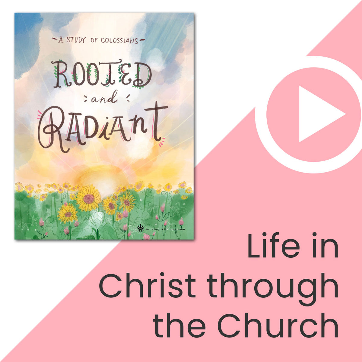 Rooted and Radiant Bible Study Digital Downloads – Walking with Purpose